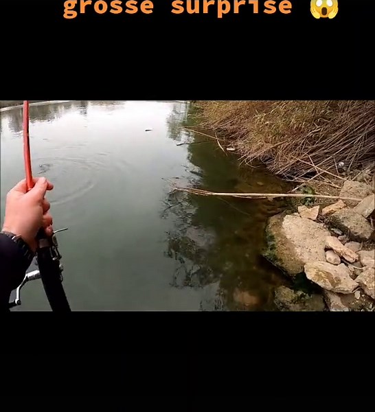 Delalande® Pêche - Official sur TikTok