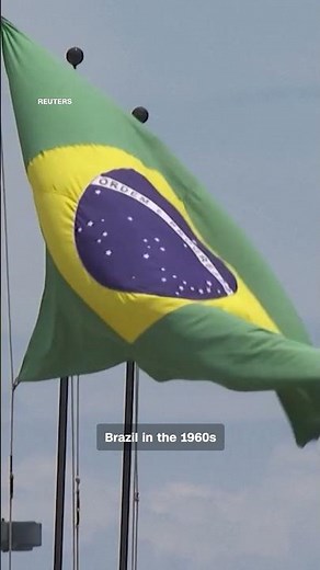 Rare palm trees bloom once in a lifetime before dying in Rio