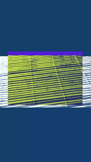 SOS TYRANOSSAURUS REX ATTACK! JURASSIC PARK GATE 37! JUNGLE HELP #JURASSICPARK #JURASSICWORLD #sos #HELP #trex