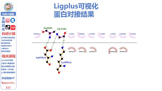 Ligplus可视化蛋白对接结果