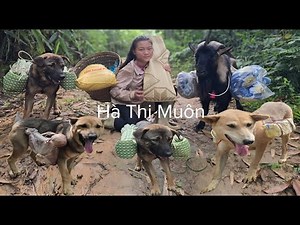 Vietnamese girl and dog, goat prepare blanket to sleep - ha thi muon