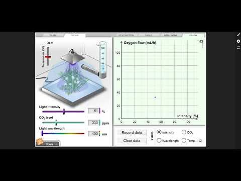 Photosynthesis Lab Gizmo - Activities A, B and C walkthrough