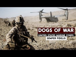 USMC | DOGS OF WAR