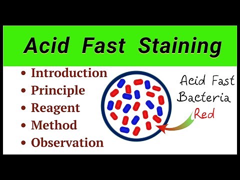Acid Fast Staining Procedure
