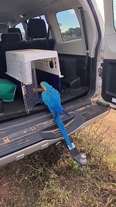 414K views · 43K reactions | A little flying compilation. Put your feet up for a minute  | Eddie's Flight Club | Facebook