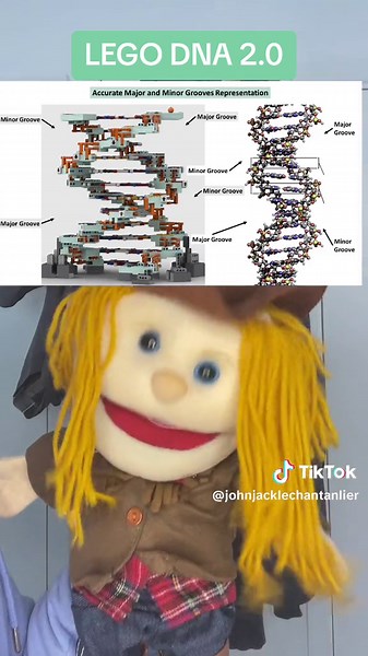 Lego DNA 2.0: Double Helix History. Vote now to reach 10K and have a chance at becoming a REAL LEGO SET!! https://ideas.lego.com/projects/c92cd95b-49e7-46ec-b844-ac6482c51139