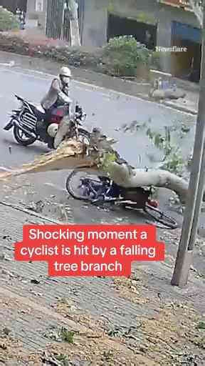 Shocking moment a cyclist is hit by a falling tree branch