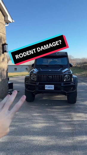 Rodent Damage: Protecting Luxury Cars from Mice