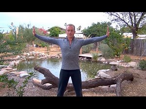 Yi Jin Jing - I Chin Ching - "Muscle Tendon Change" Qigong