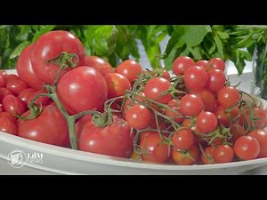 Italian Cooking 101: part 1