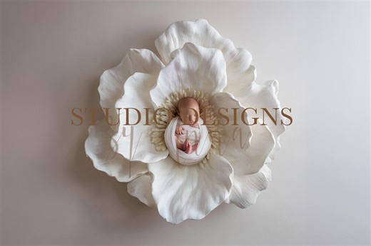 Digital Backdrop Newborn Boho, Baby Photo Prop Composite, Neutral Basket, Overlay, Boy and Girl, Newborn Background, Neutral Backdrop - Etsy