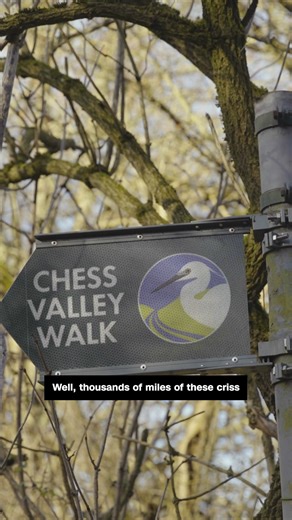 28K views · 74 reactions | Based all over the world, CNN Travel's editors explain why they included the Kansai Region in Japan, Stockholm in Sweden and three other unique spots as part of their yearly list of places you should pay attention to this year. Read the full list: https://cnn.it/3Plbqh4 | CNN International | Facebook