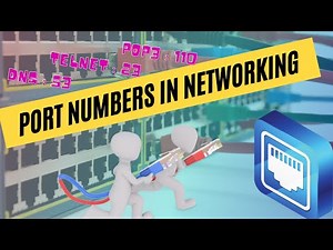 Port Numbers in Computer Networking & Types of Ports - TCP/UDP