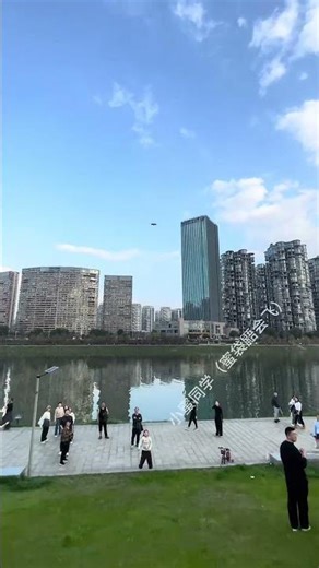 Why Is This Flying Pet So Confused? 😅 #PuzzlingPets #SugarGlider #CuteAnimals