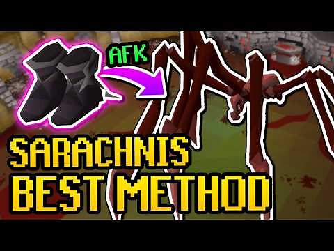 Best Method Sarachnis Quick Guide (No Webs - AFK Sarachnis Guide 2025)