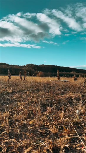 Gellért L. Kádár | ENG⬇️ 🎸A Még egy kívánság forgatásán újra a kezembe került a gitár — és azóta valahogy megint helyet kért magának az életemben. Most újra... | Instagram