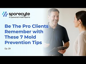 Be The Pro Clients Remember with These 7 Mold Prevention Tips