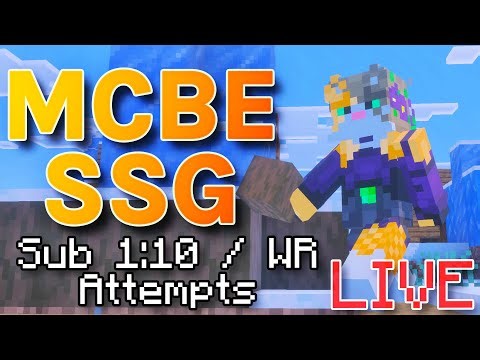 Bedrock Edition SSG for Sub 1:10 / World Record