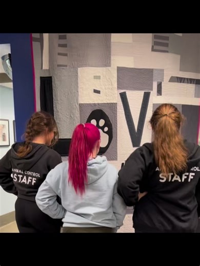 We still don’t know which staff member is responsible for the duck and baby figurines, but we love them for making our day better! #weareyourcityshelter | Richmond Animal Care & Control