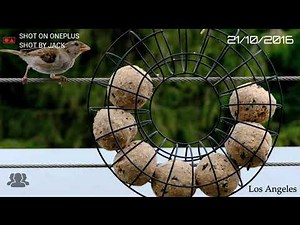 Add date and Time stamp on Photos with Timestamp camera application