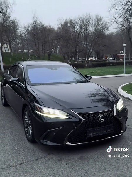 Lexus Model Reviews and Recommendations
