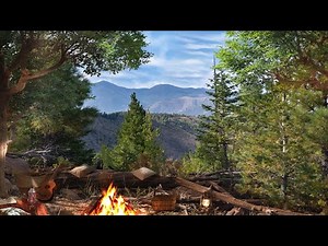 Spring Ambience | Sunny Day Ambience with Nature Sounds and Relaxing Campfire