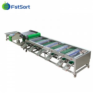 [Hot Item] High Quality Garlic Sorting Packing Machine/Garlic Grading Machine/Garlic Cleaning Sizing Machine