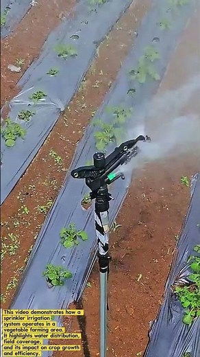 Efficient Sprinkler Irrigation System for Modern Farming | Boost Crop Productivity