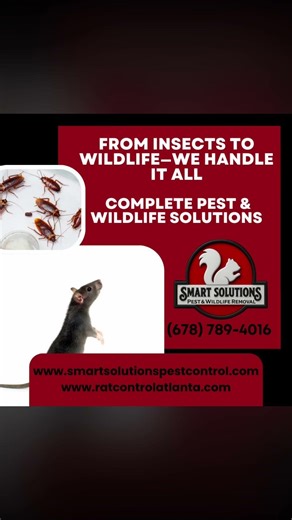 From insects to wildlife — we handle it ALL.