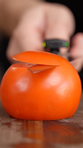 Majime Meraki II | Noflakeysalt