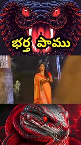 146K views · 3.9K reactions | { #movieexplained #movierecap } { #telugu #video } { #shorts #movies } { #movieexplained in Telugu } { #movierecap in Telugu } { movie explained in Telugu } | Hi friends Like | Facebook