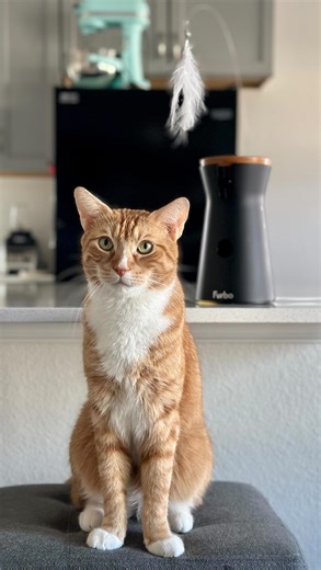 8.8K views · 790 reactions | I feel someone watching me... #ad Ever...