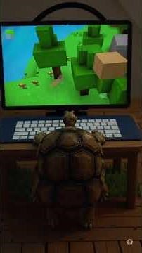 Tortoise Playing Minecraft?! #minecraft #tortoiseplayingminecraft #tortoise #memes #coffindance