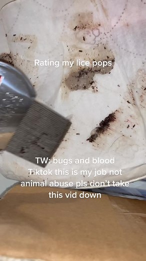 Satisfying Lice Removal Videos | Lice Popping ASMR