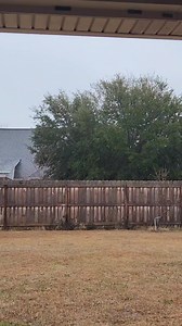 15 Clear Signs of Maturity #maturity #factsoflife #lifecoaching #reels @followers | The Ramon’s