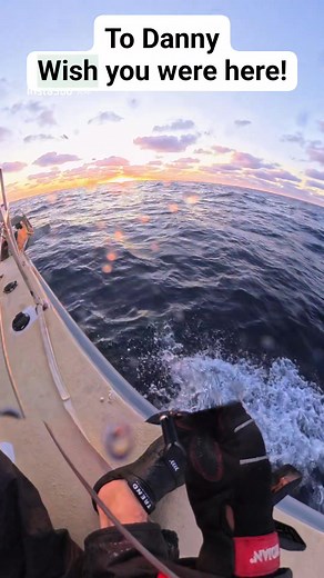 Stunning morning after a brutal evening punching up wind, and as the great Mr David Bowie once said "I wish I could swim, like dolphins, like dolphins can swim" and to my Danielle Harris cause we're lovers and that is a fact! Want to see where we are live click here; https://racehub.sailpro.app/race/uiysxn | Reef Knot Sailing