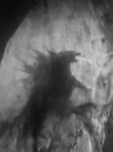 #godzilla #monsterverse #kaiju #kong #edit | godzilla edit