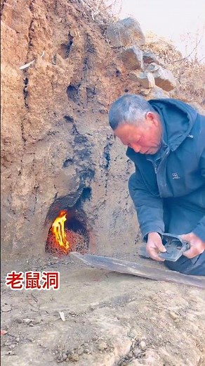 Ultimate Rat Control Secrets Exposed