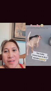 722 reactions · 52 shares | Dad common let’s go  | Lynn Campilla Paradiso | Facebook