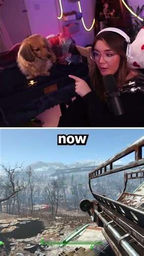 5 Reasons why Pea would survive in Fallout 4 🐕💥 #ad #fallout4