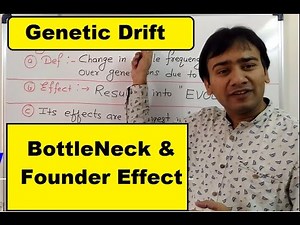 GENETIC DRIFT ; BottleNeck effect & Founder effect