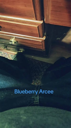 Blueberry Arcee: Survivor from Jack Darby's Universe