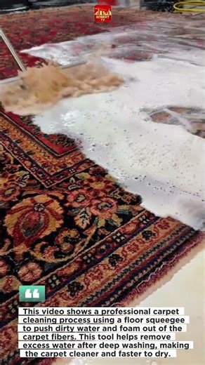 Satisfying Carpet Cleaning Process | Professional Floor Squeegee Removing Dirty Water