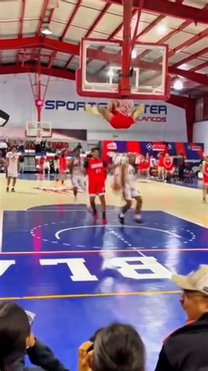 🐯 The white tiger ate the hawk in the Enrique Taylor Jungle. #MexicanBasketball #ABELeague