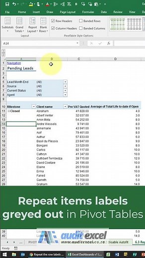 Repeat item labels greyed out in Excel Pivot Tables #youtubemadeforyou