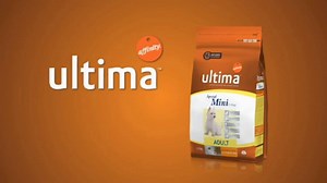 Affinity - Patrocinio Ultima Special Mini