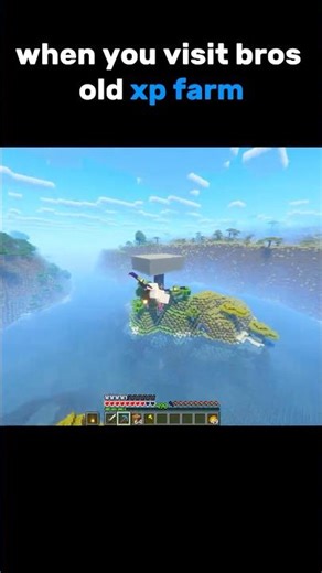 when you visit bros old XP farm 💀