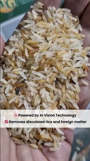 Mark Rice Color Sorter | High Accuracy & Best Sorting Quality