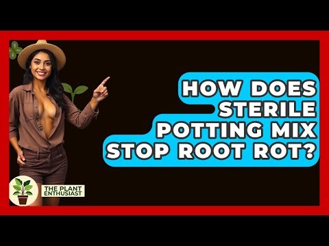 How Does Sterile Potting Mix Stop Root Rot? - The Plant Enthusiast