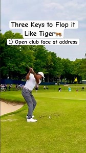 Golf’s Riskiest Shot… Nailed Like Tiger